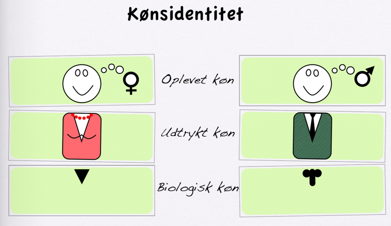Pædagogiske tanker: Køn, seksualitet og mangfoldighed