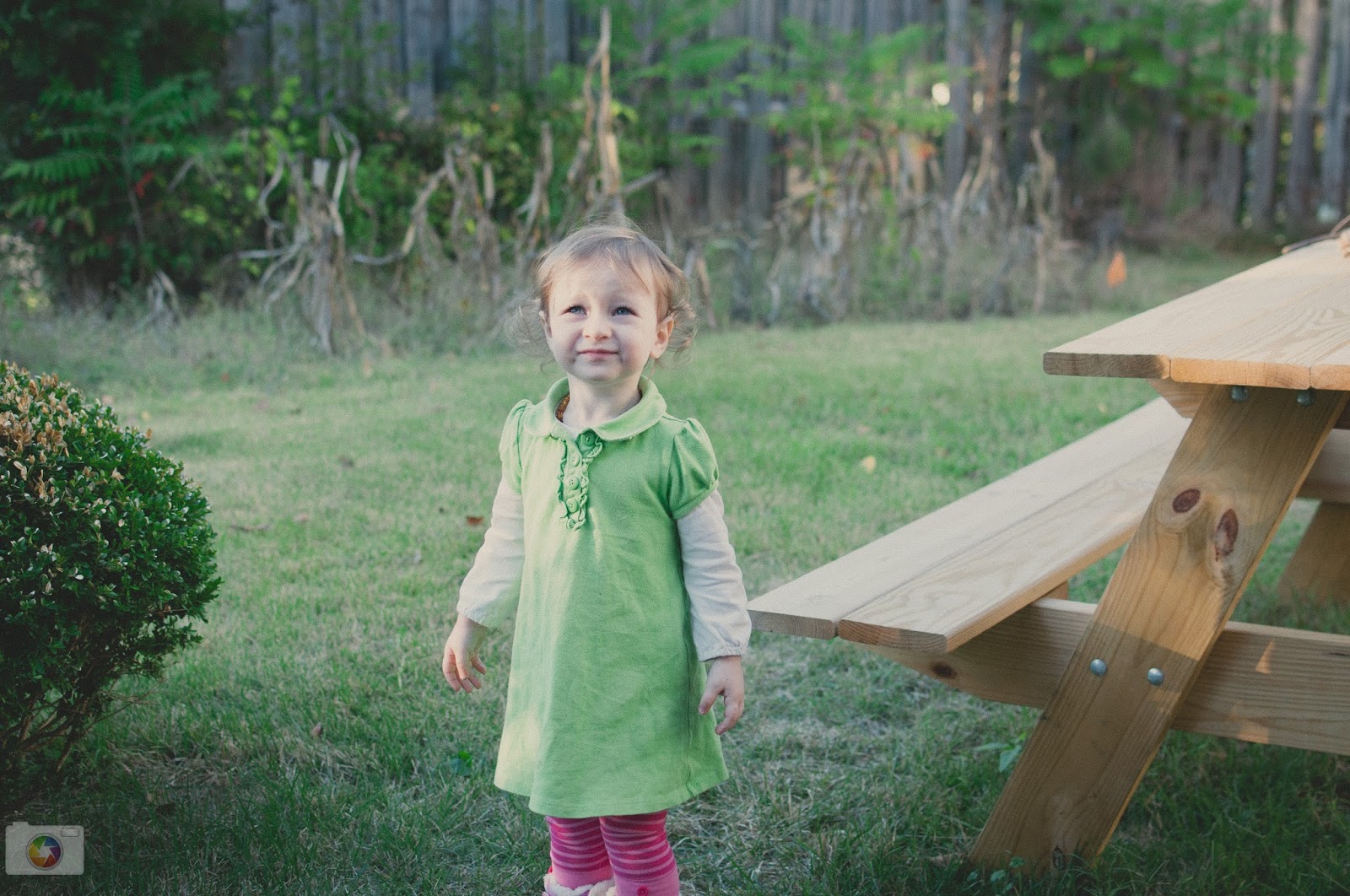 Focus on the Stories: Golden Hour Impromptu Backyard Photo Shoot