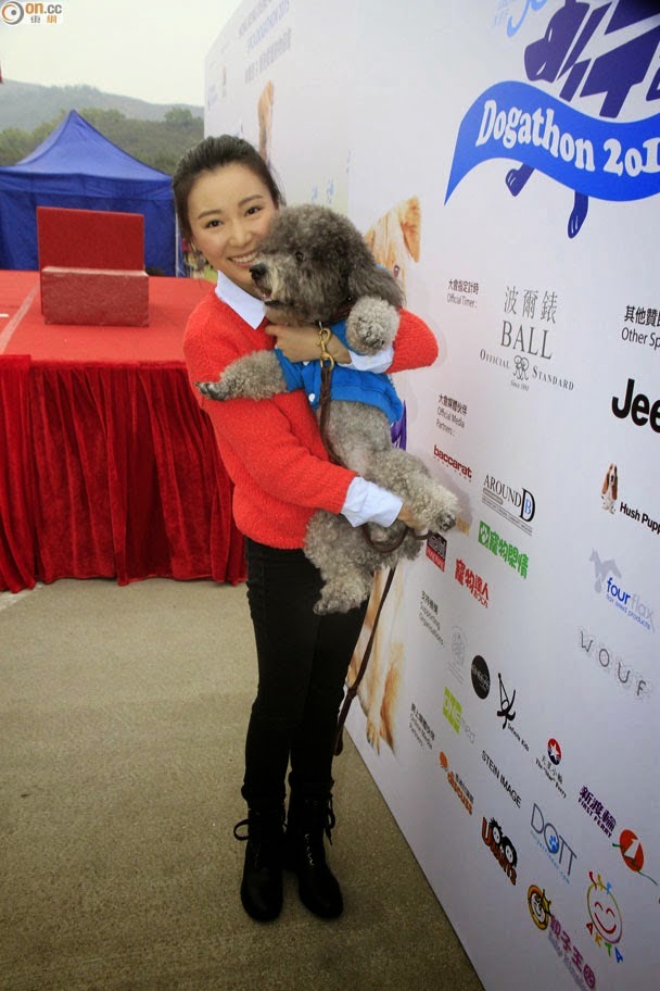 TVB Entertainment News: Sire Ma expressed her dog have helped her ...