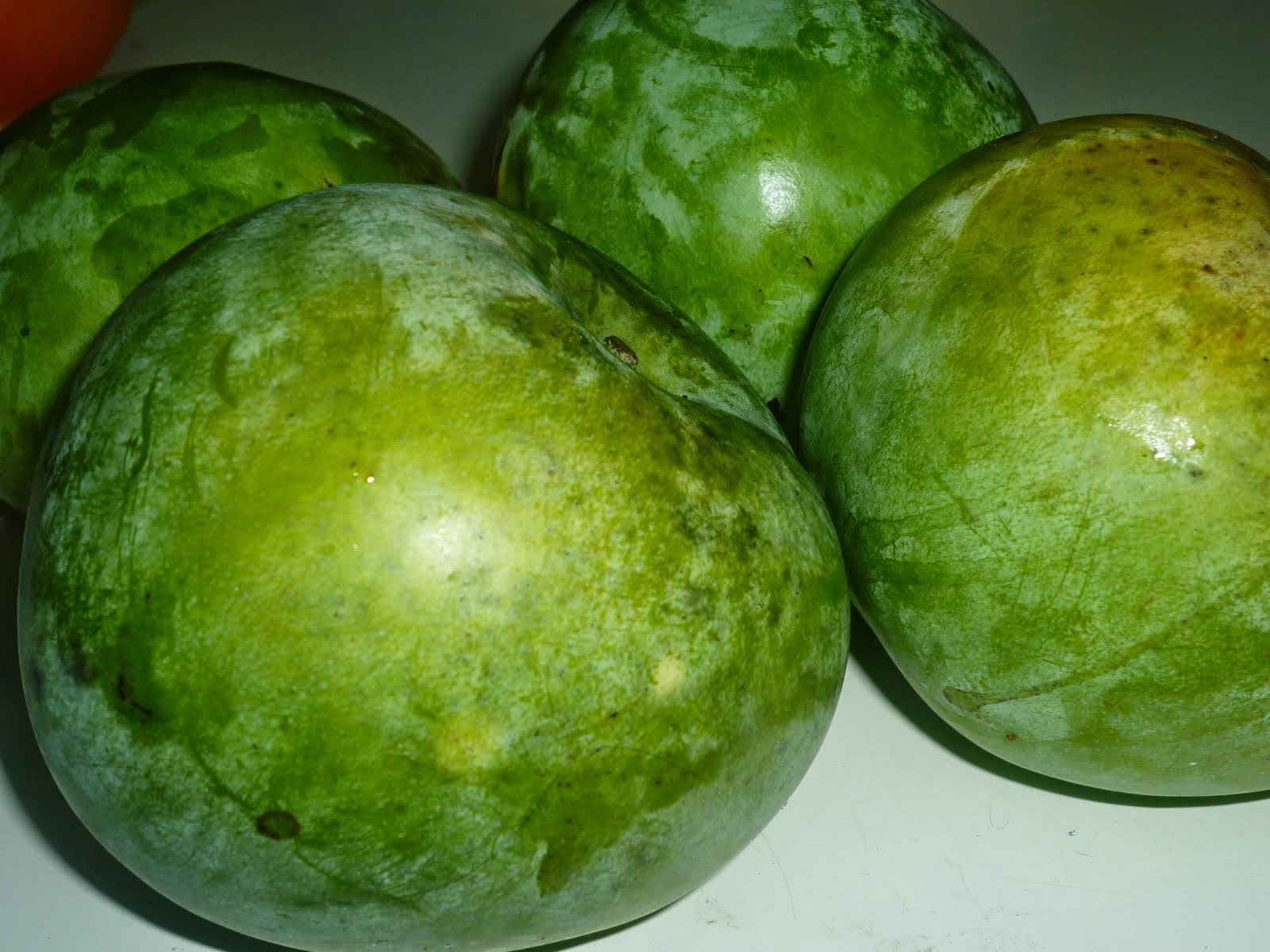 Daun Mempelam Dapat Rawat Gusi Bengkak ~ Mr Misteri