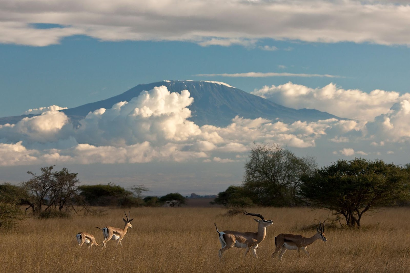 Africa - Africa Family Travel