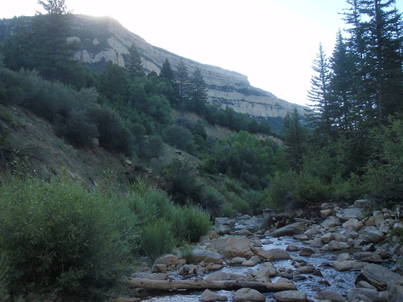 The Pristine Zone: Deep Creek