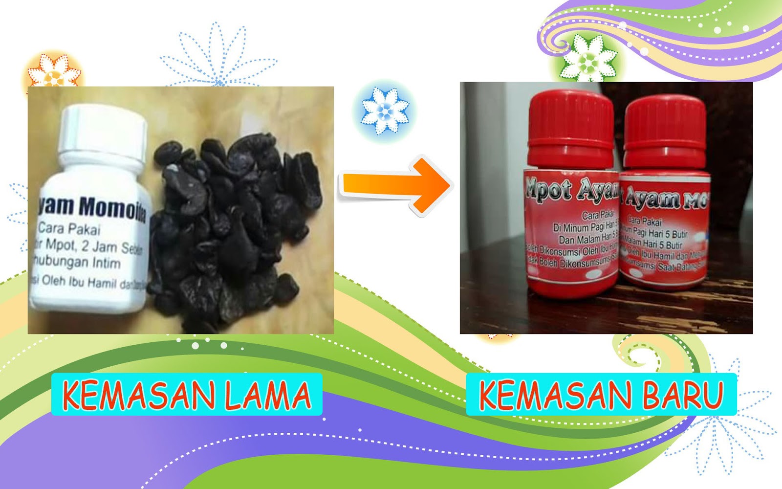 MPOT AYAM MOMOIDEA | Jual Manjakani Momo, Empot Momo dan Majun Momo Asli