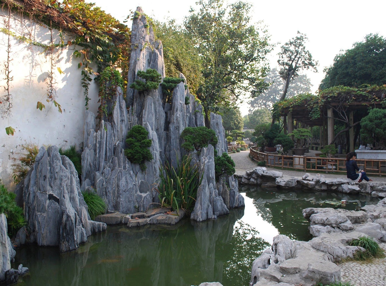The Intercontinental Gardener: A misty morning in the Lingering Garden