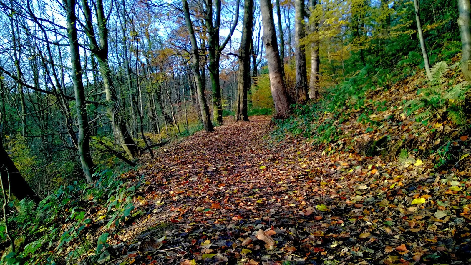 Tameside Citizen: Tameside Countryside Services