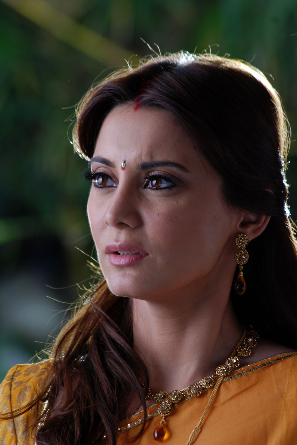 Photo Galleri: MINISHA LAMBA IN SAREE PHOTO GALLERY