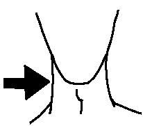 RECURSOS y ACTIVIDADES para Educación Infantil: Dibujos para colorear ...