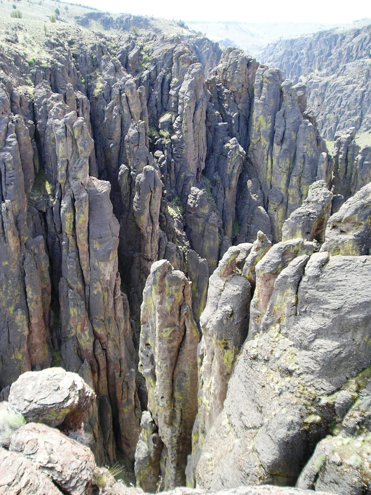 Birding Is Fun!: Three Forks of the Owyhee River