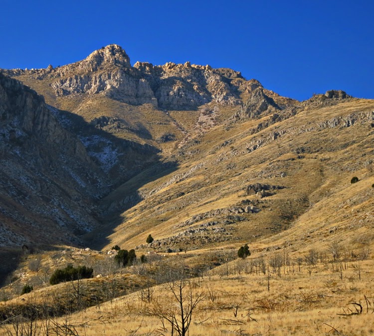 Stansbury Island Ramble - Cedar & Sand
