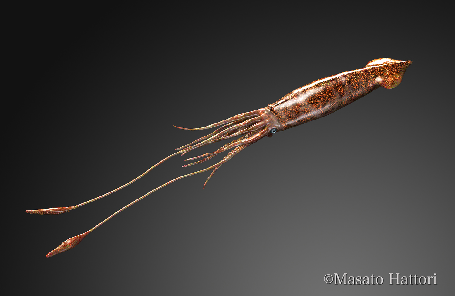 Marchan Blog: 12月 2015