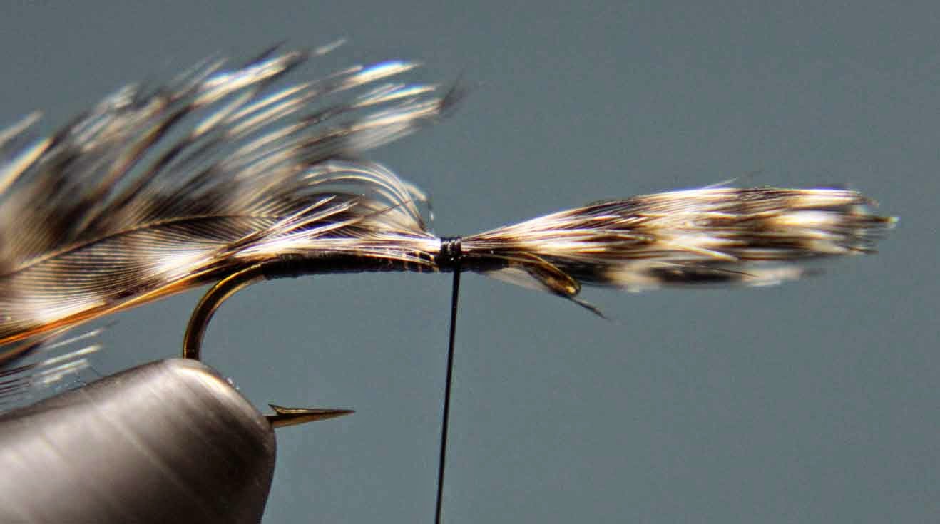 Fishbait's Fly Box: The Traditional Adams