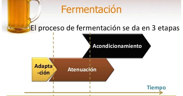 Cervezal: 7 - El Proceso de Fermentación
