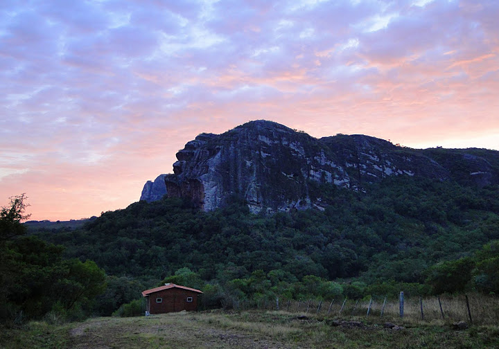 FLORA AUSTRAL: PEDRA DO SEGREDO, CAÇAPAVA DO SUL, RS, BRAZIL