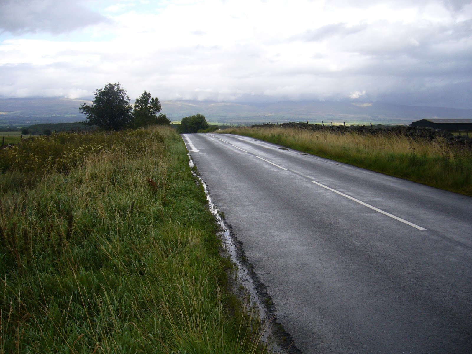 BSBI News & Views: Flat-sedge: on a Cumbrian road-verge and in New ...