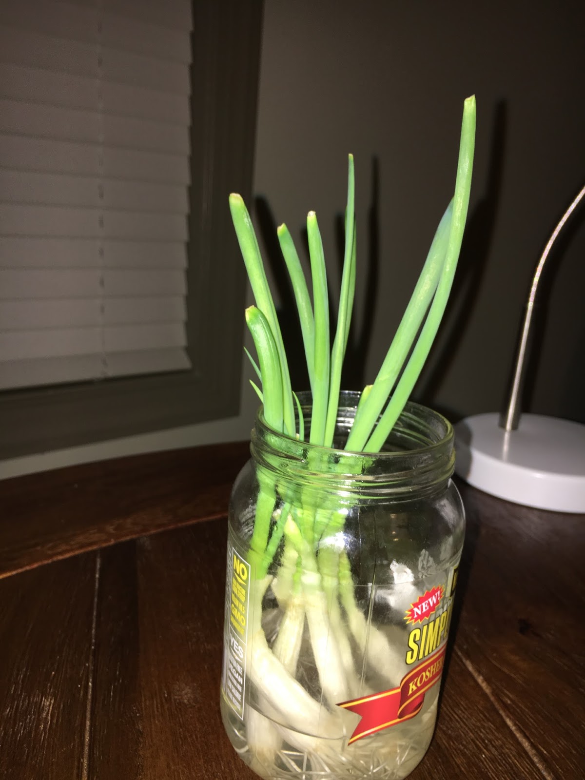 How to Grow Green Onions in Water | Hannah Ra