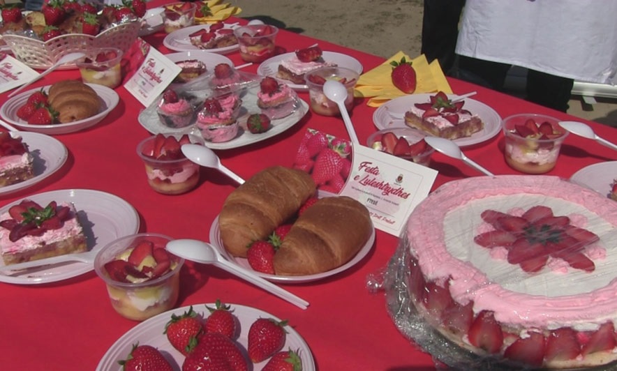 Strawberry fair for the third consecutive year in Fier