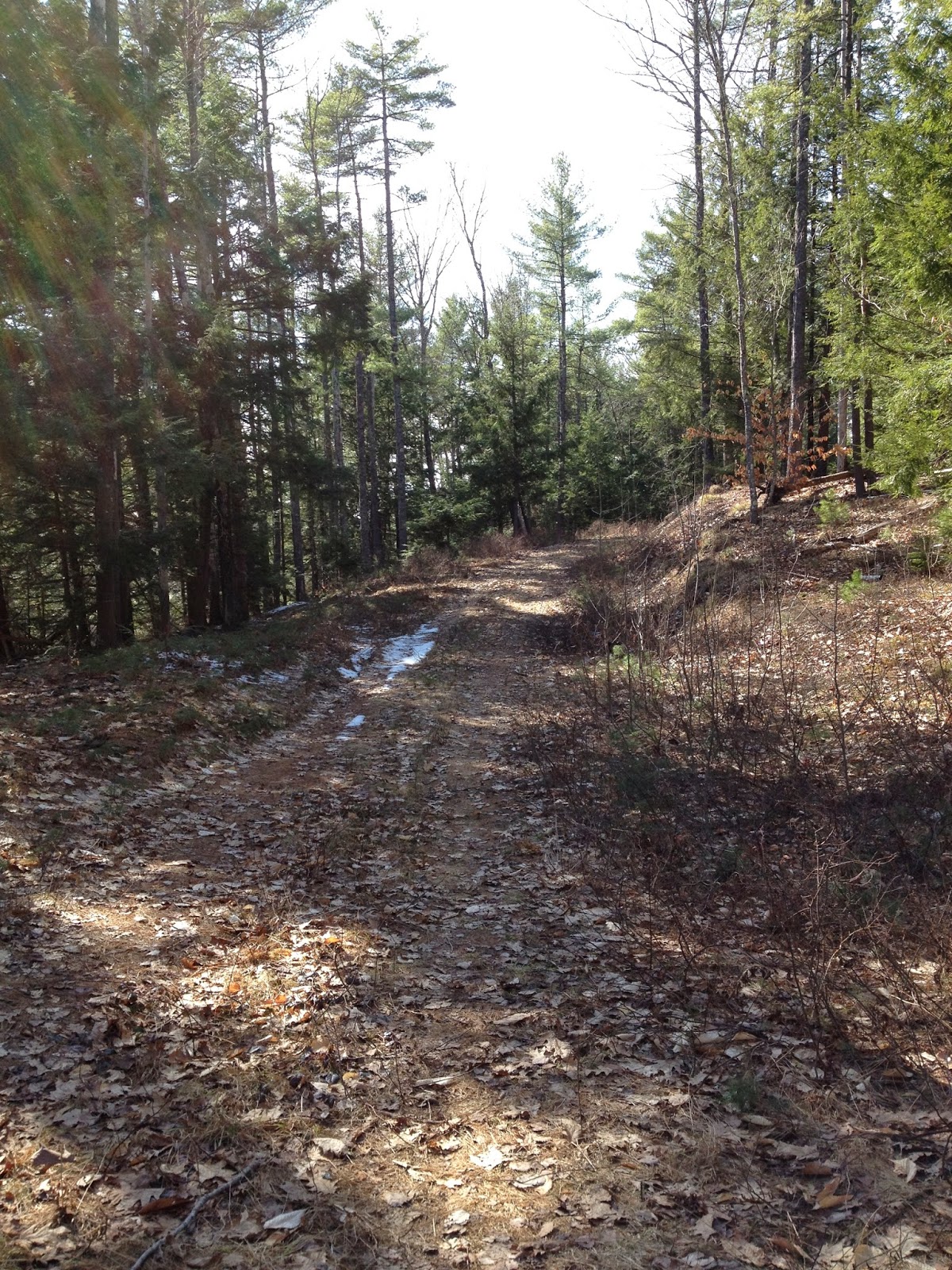 The Chronicles of Sully: Sully's First Off-Road Adventure