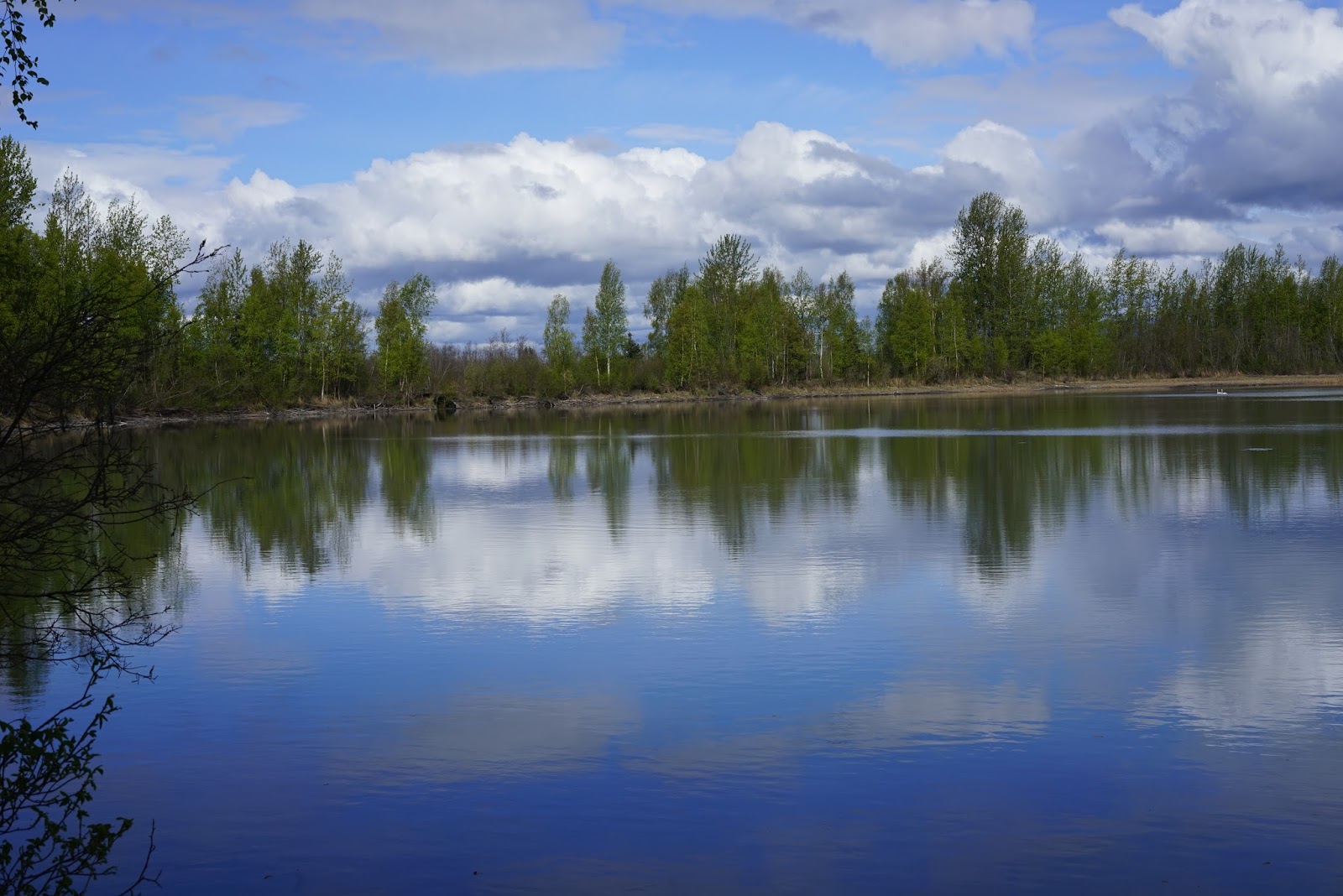 Lost But Loving It...In Alaska!: Reflections Lake