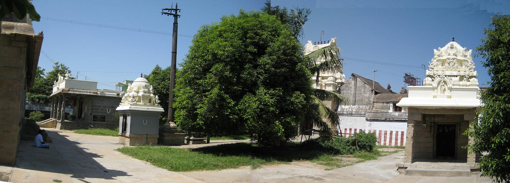 Tamilnadu Tourism: Vilakkoli Perumal Temple (Tiruththanka or Thoopul ...