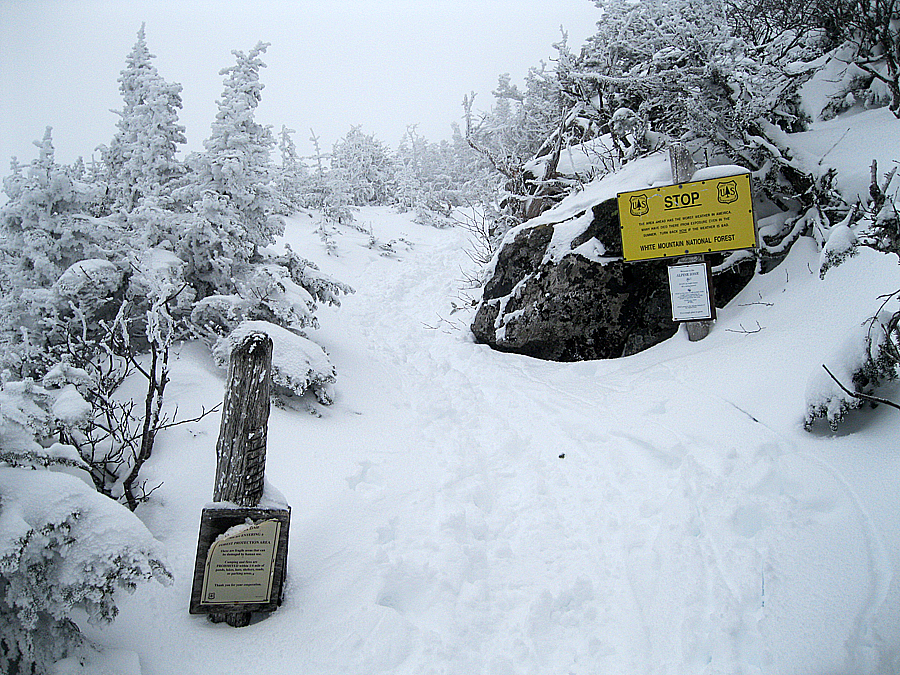 Hiking in the White Mountains: Frozen Fog in the Northern Presidential ...