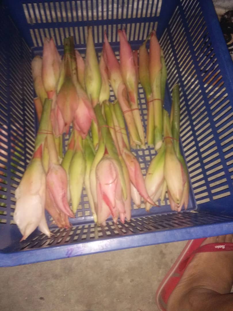 Beautiful Lie in a Beautiful Life: Terung asam, bunga kantan, umbut ...