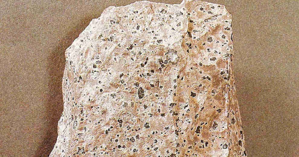 A la palestra : FONOLITA