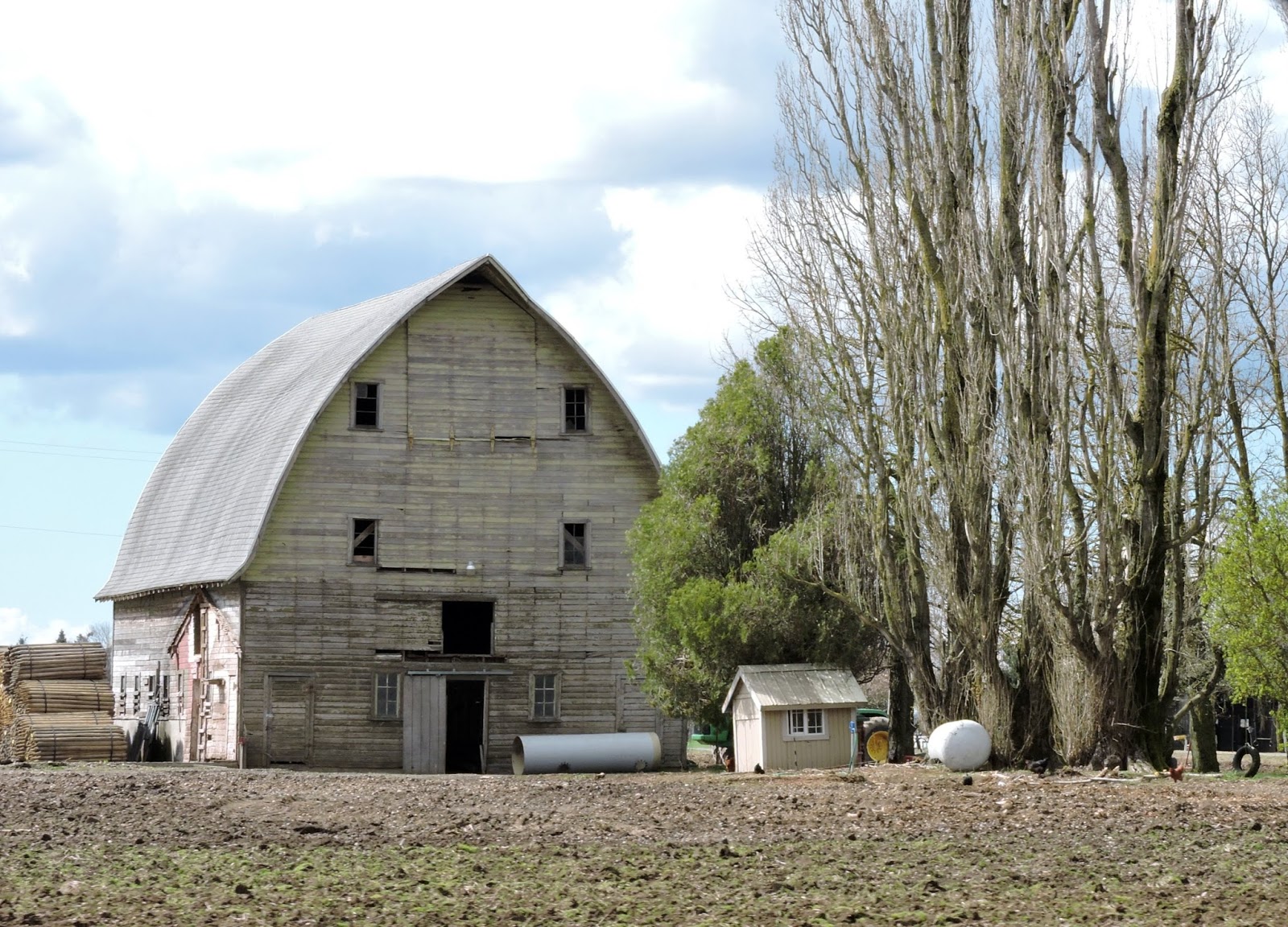 Scene Through My Eyes: Old Barns - Lynden, WA