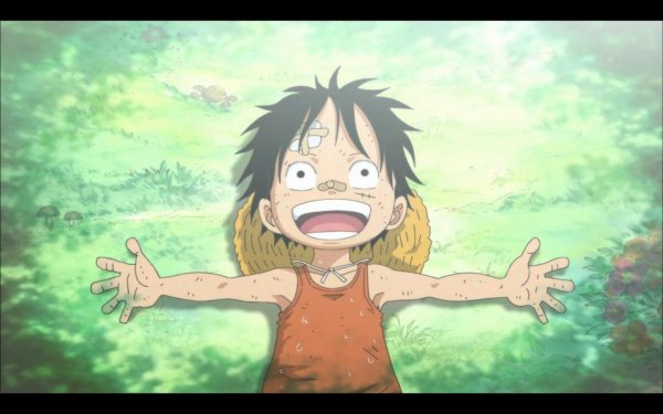 One Piece: Monkey D. Luffy