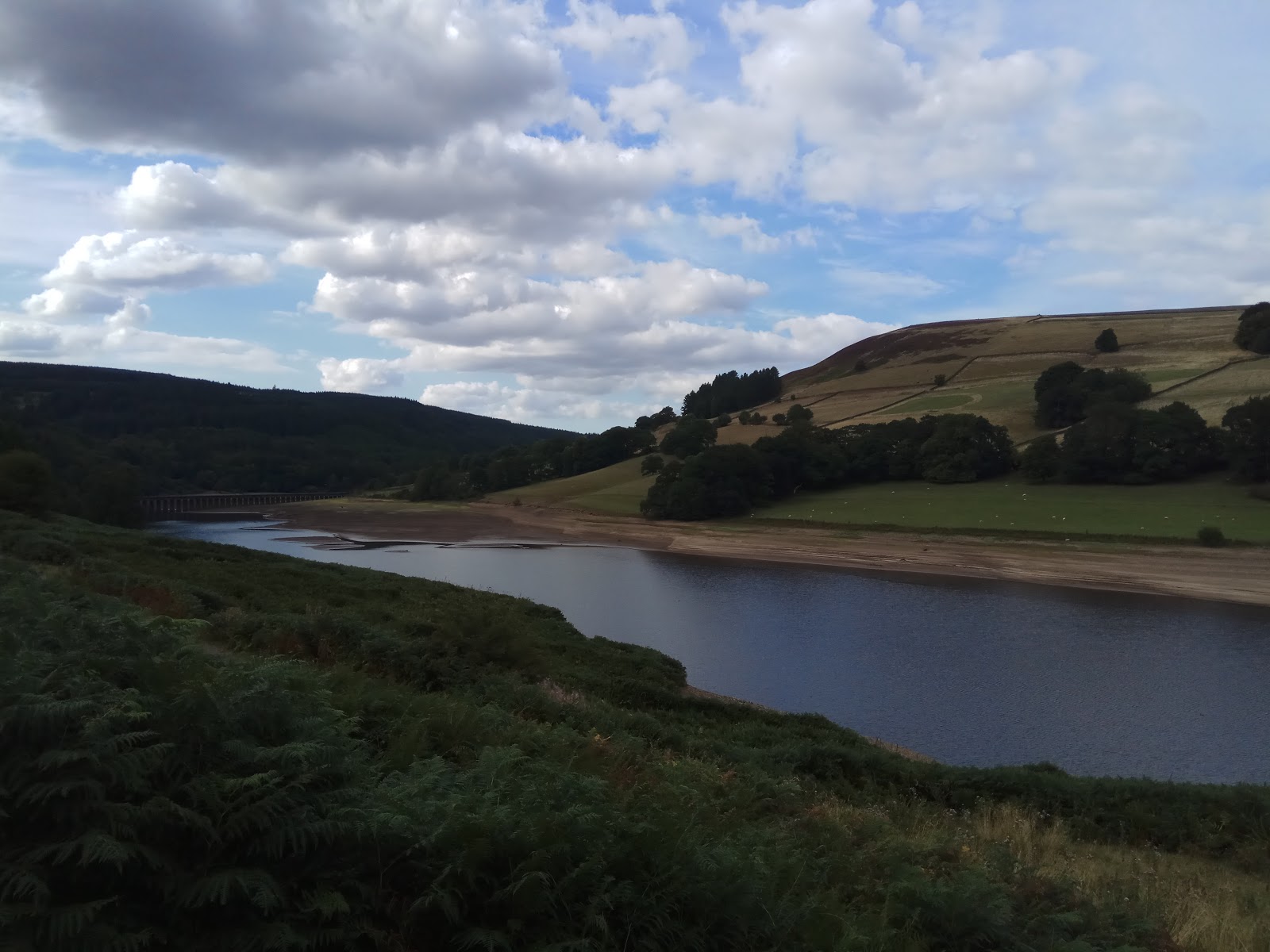 Peter Hulbert : Never A Day Goes By.