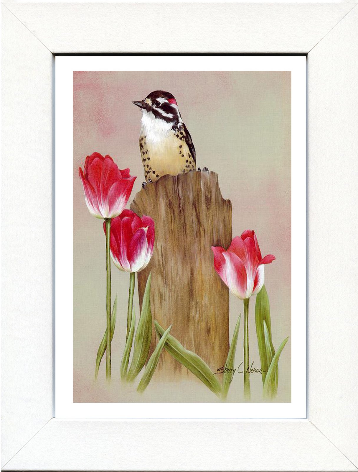 jjjewel.resimlerim: KUŞ VE PAPAĞAN TEMALI RESİMLER