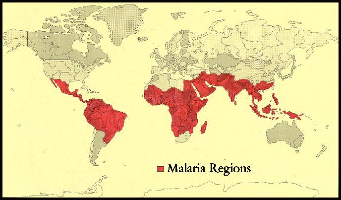 MALARIA Y PLASMODIUM: MAPA DE LA MALARIA EN EL MUNDO
