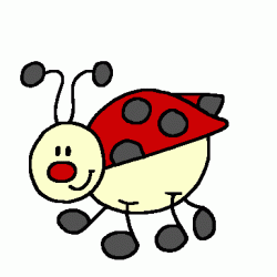 Exploring Ladybugs: How does a ladybug grow??