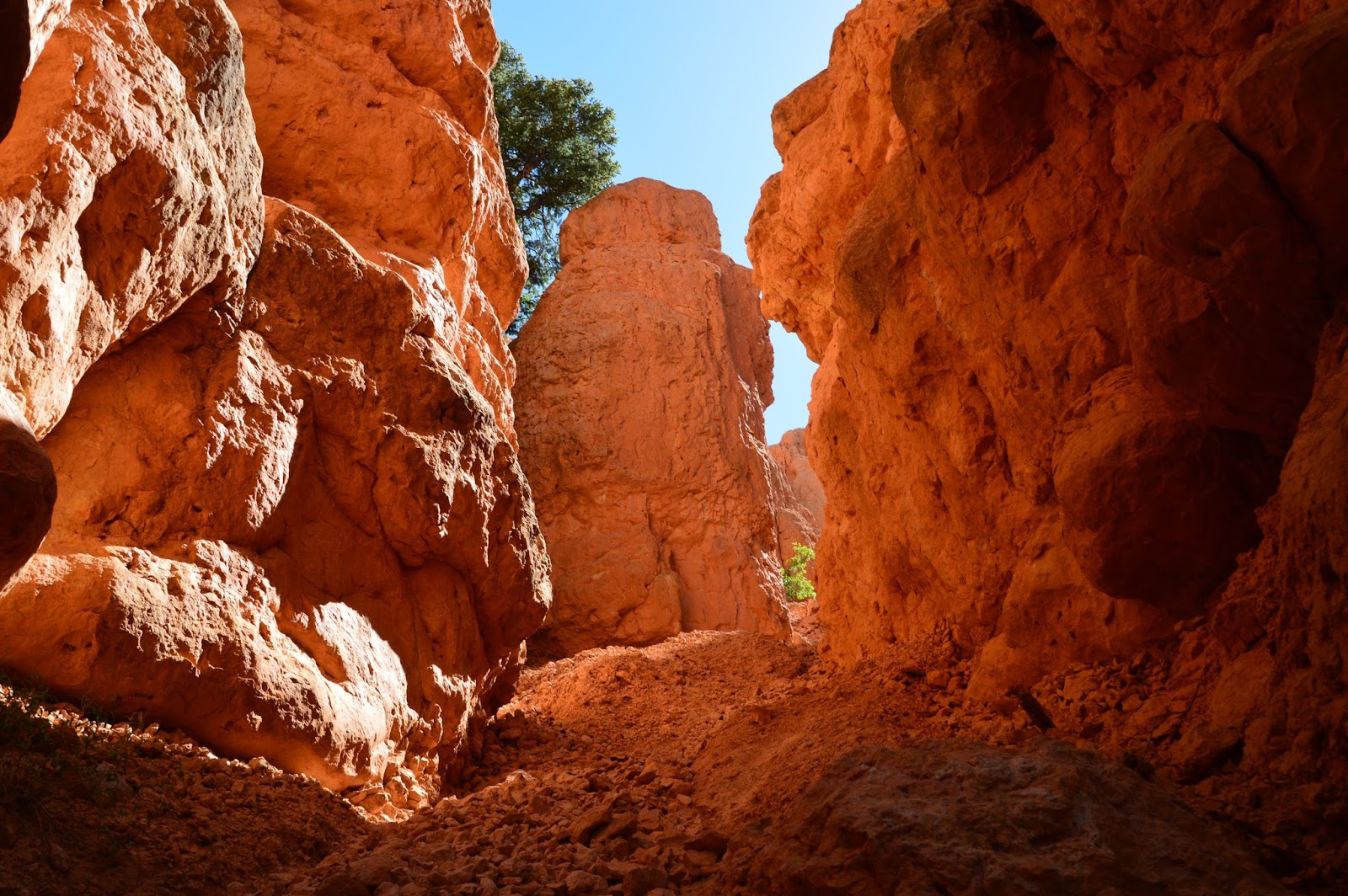 Da Road Trip: Red Canyon, Utah