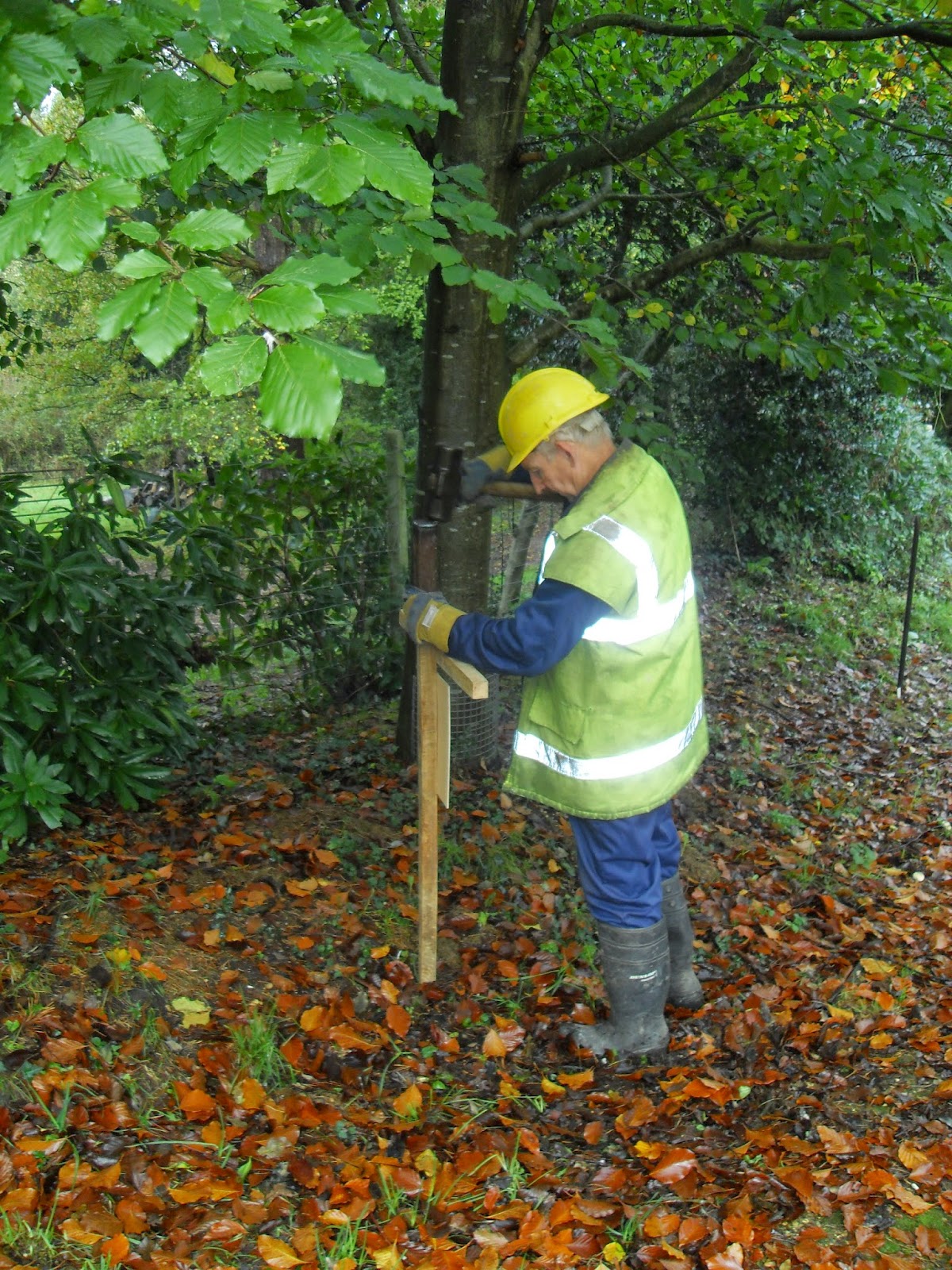 copythornehistory: Our Avenue of Remembrance at St. Mary's Church ...