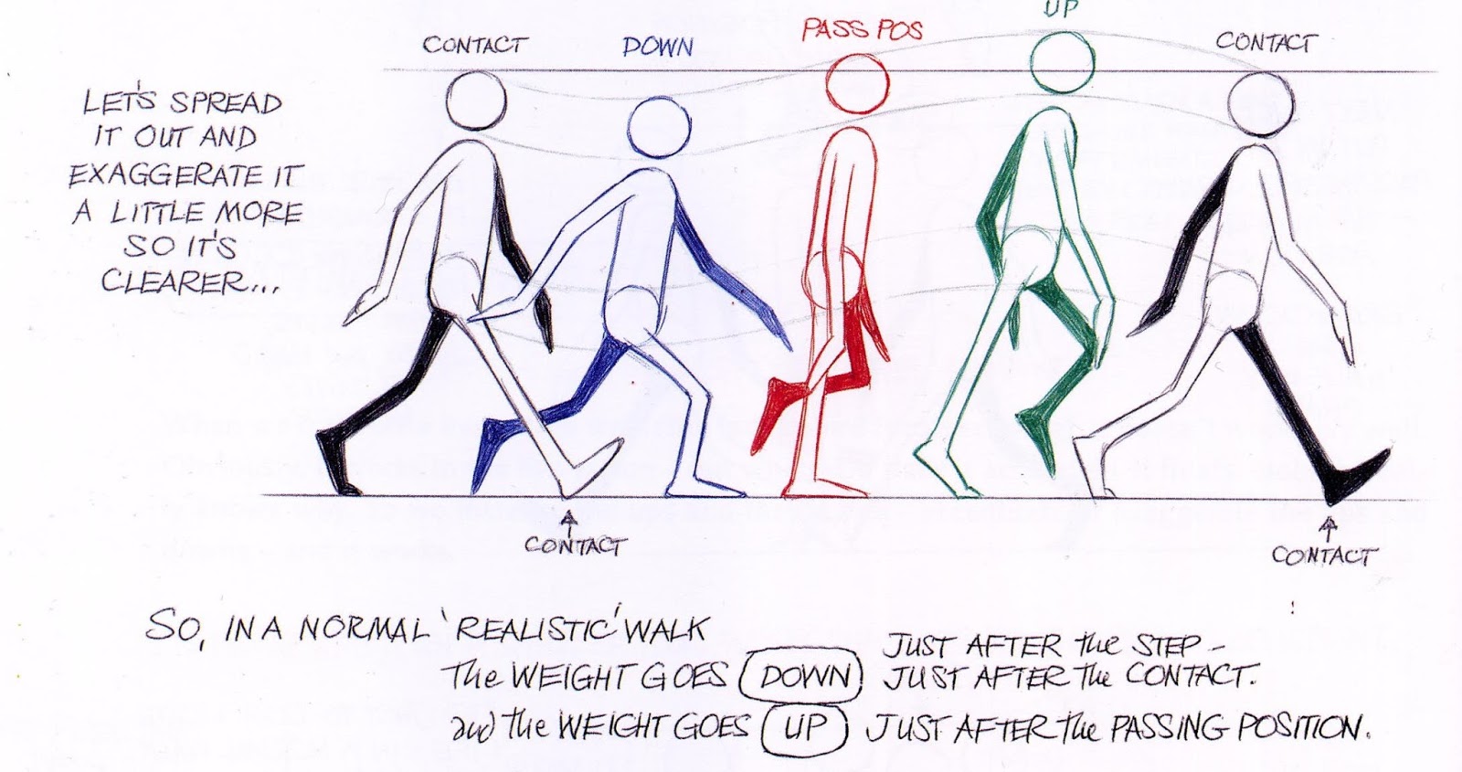 DLSY9mediastudies: Walk Cycle