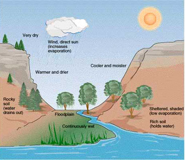 Gudang Pengetahuan: Faktor Yang Mempengaruhi Lingkungan Abiotik