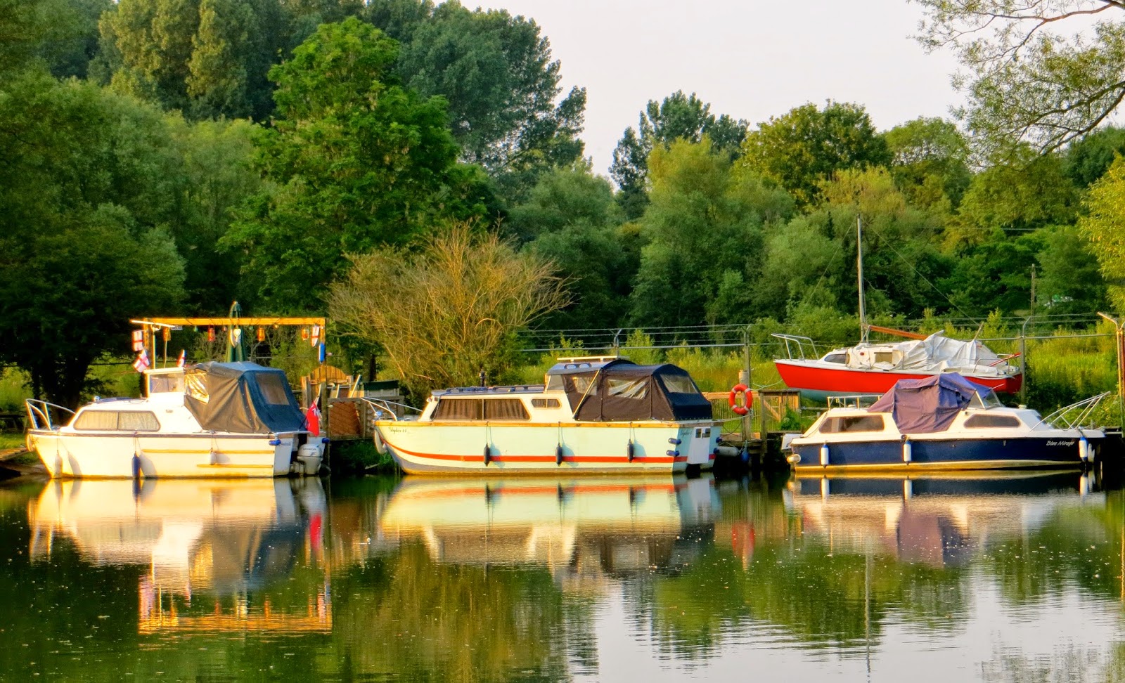 Curiouser and Curiouser: Summer Evenings on the Isis (Thames)
