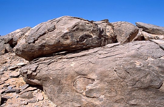 Resumen Petrología (Parte 2-3) - Petrología Sedimentaria