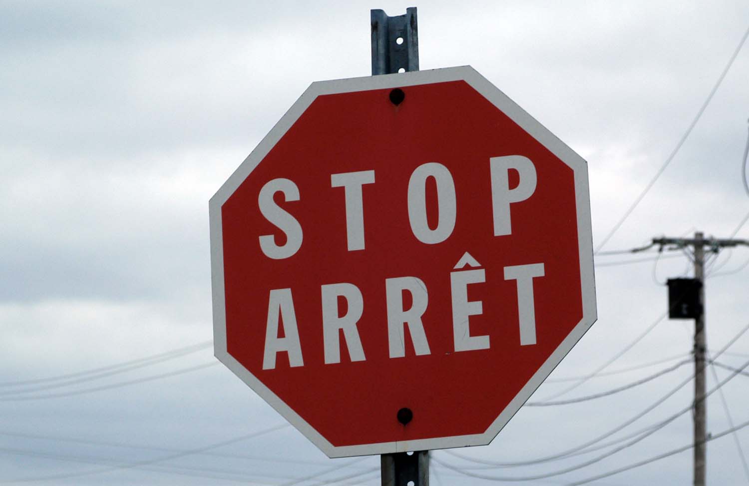 The Lingua File from TLF Translation: Should We Protect Languages As ...