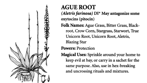 Magical Herbs: Magical Herbs
