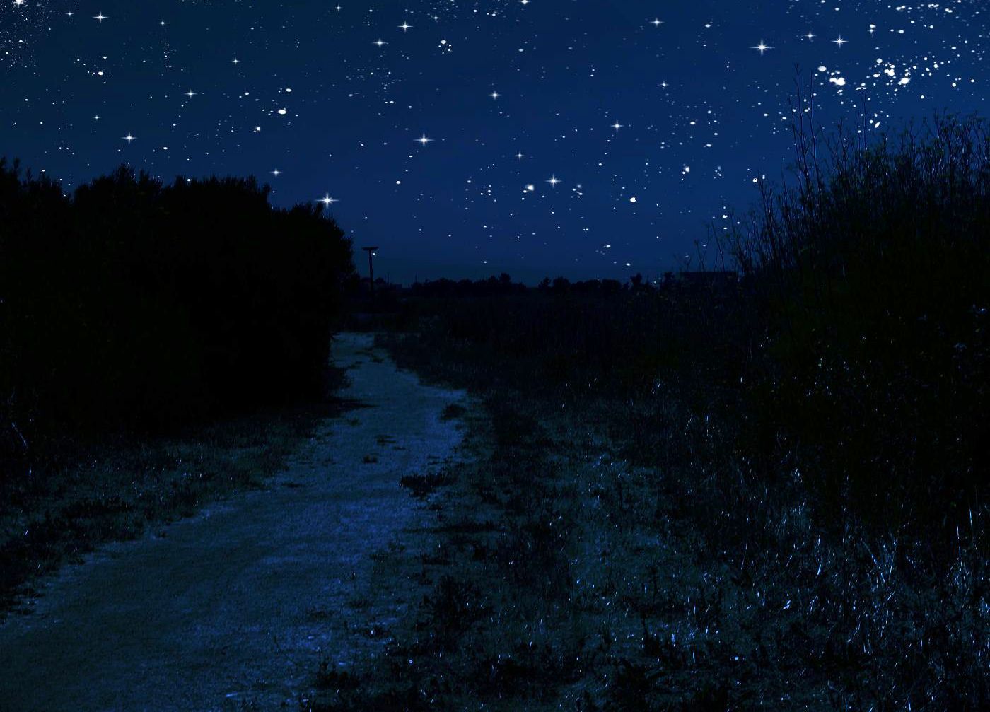 IMAGENSNET: NOITE ESTRELADA