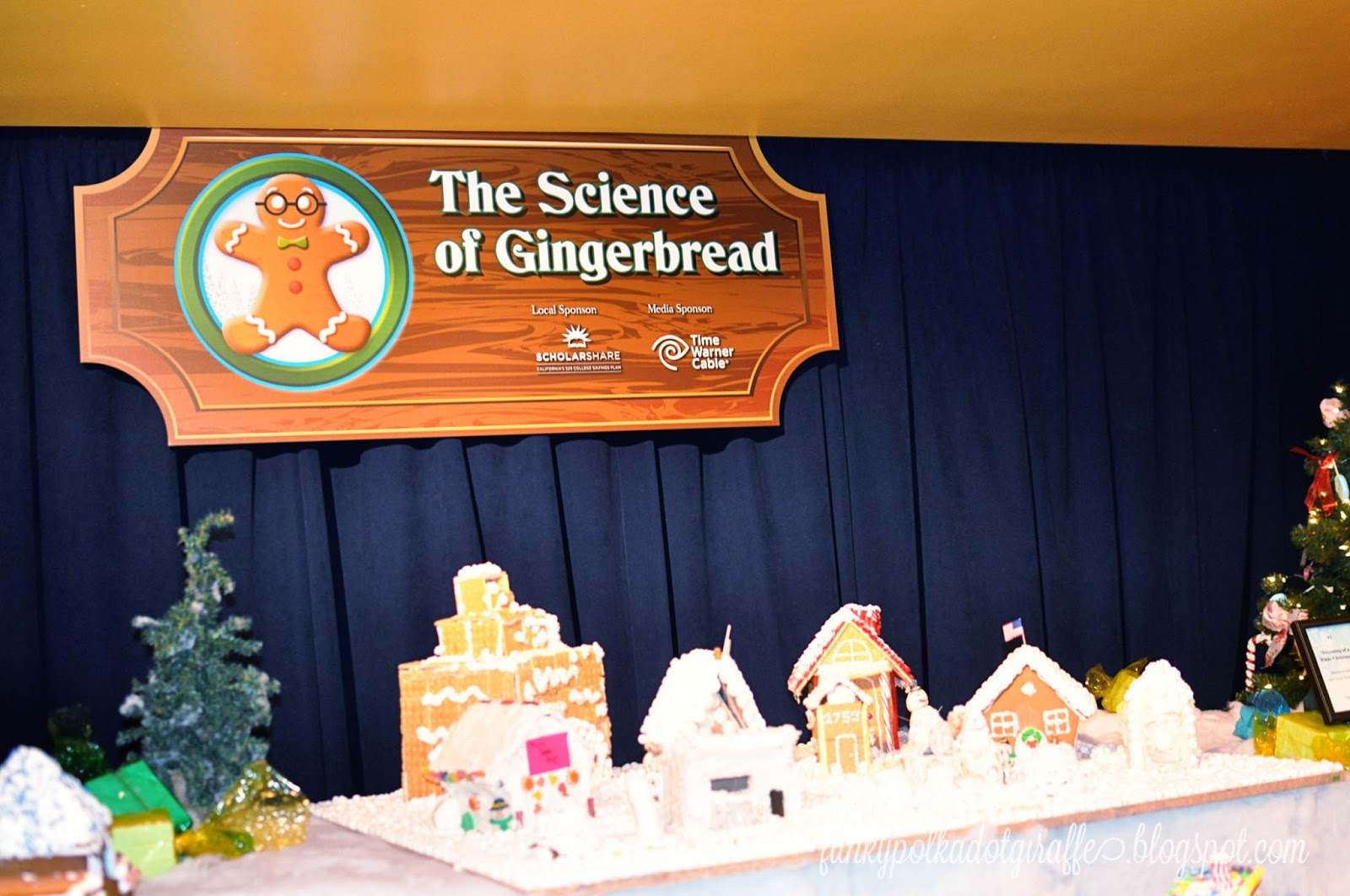 Funky Polkadot Giraffe: Discovery Science Center: The Science of ...