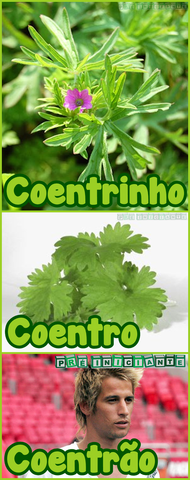 Junho 2012 | Pré Iniciante