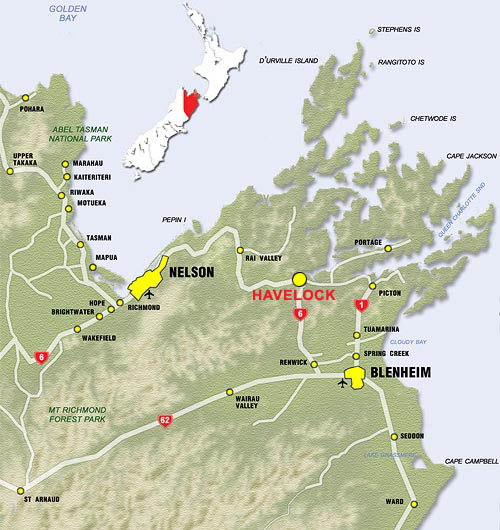 I was gonna stay home...: This is where I am: Marlborough