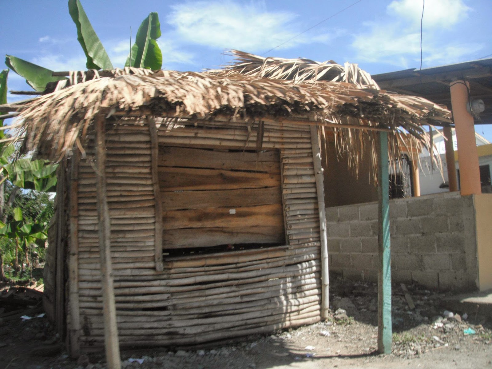 Bohios, Casas de Yagua y Construcciones Tradicionales