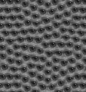 relativistic observer: Texture, Part 3