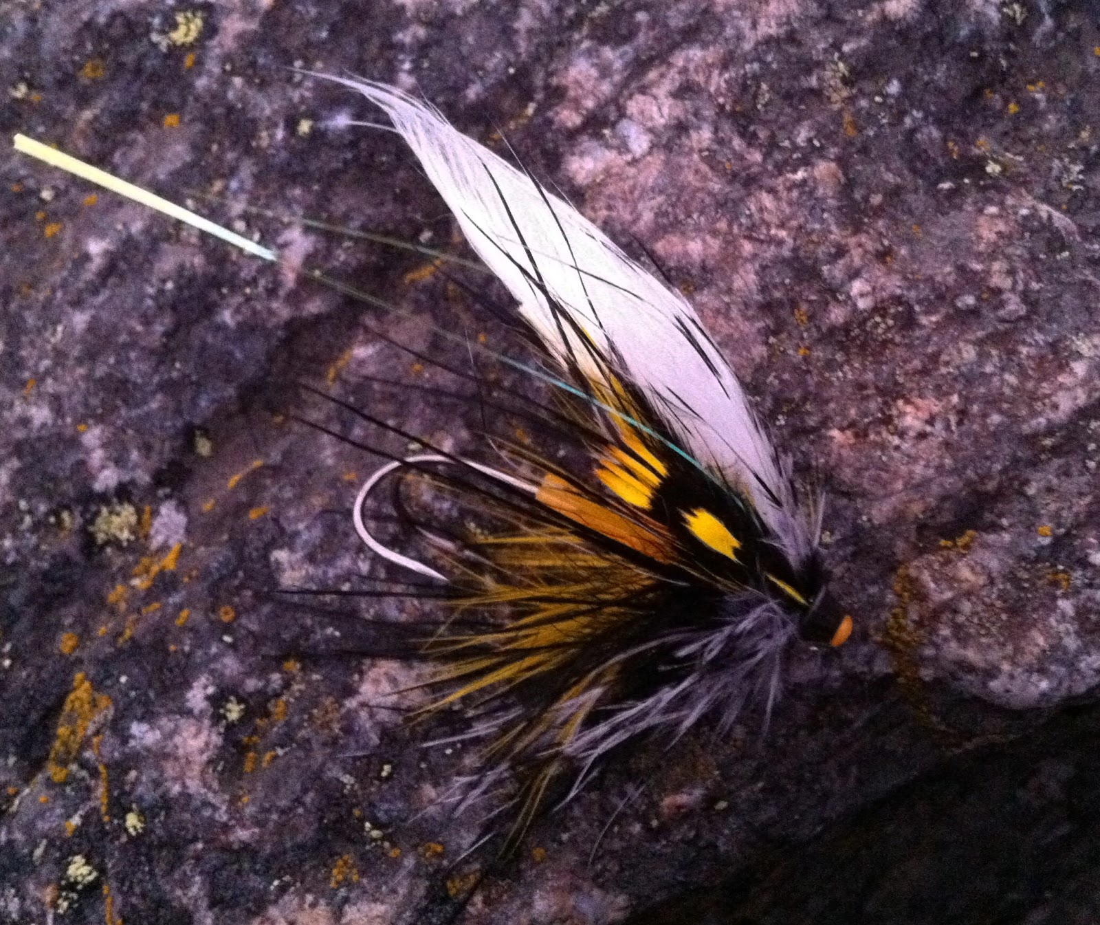 THSpey's Flies & Fishing For Silver: The White Winged Akroyd Zonker