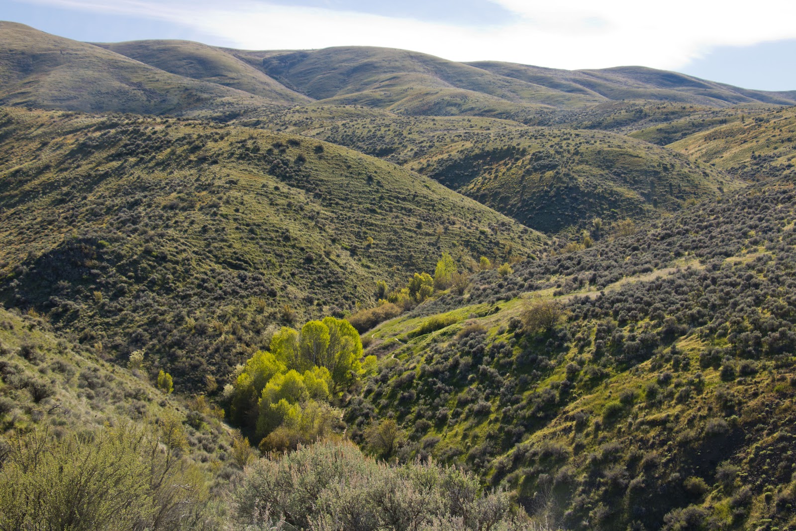 Hiking Shenandoah: Umtanum Ridge Crest