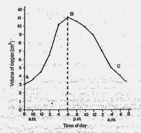 Respiration and Photosynthesis