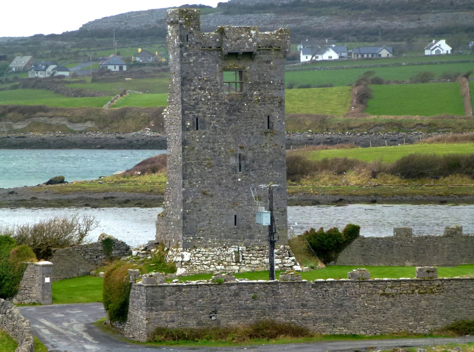 Paddy's Wagon: Galloping on to Galway